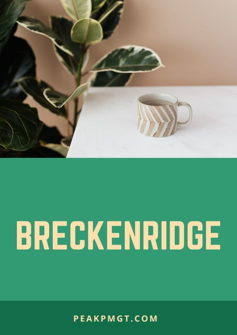 Breckenridge Property Management - Peak Property Management
